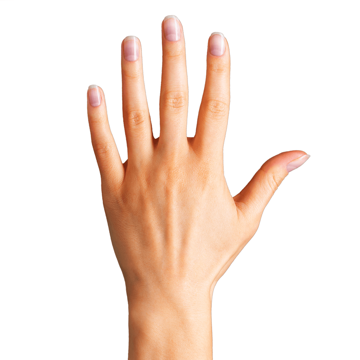 ROUND LAB | Birch Juice Tone-up Sunscreen 50ml